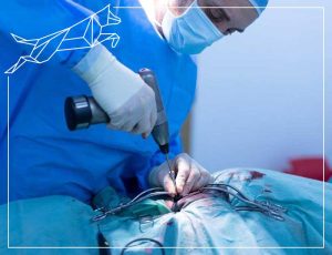 Orthopaedic Vet Surgery | TPLO | Dog Cruciate Ligament | Eden Vets