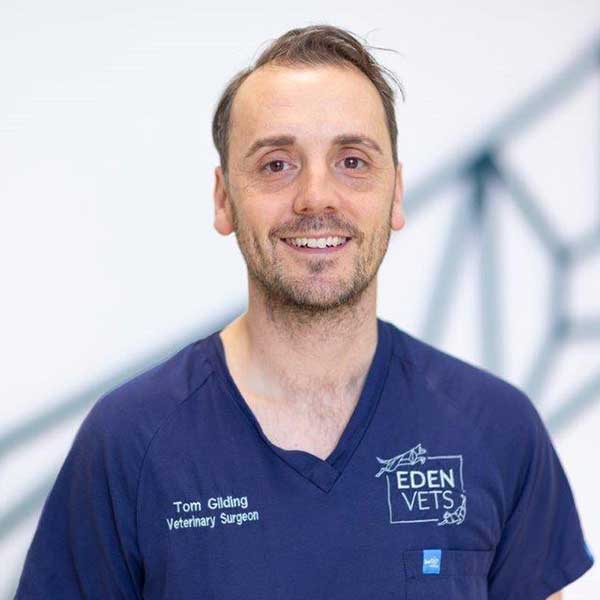 About Us - Eden Vets Referral